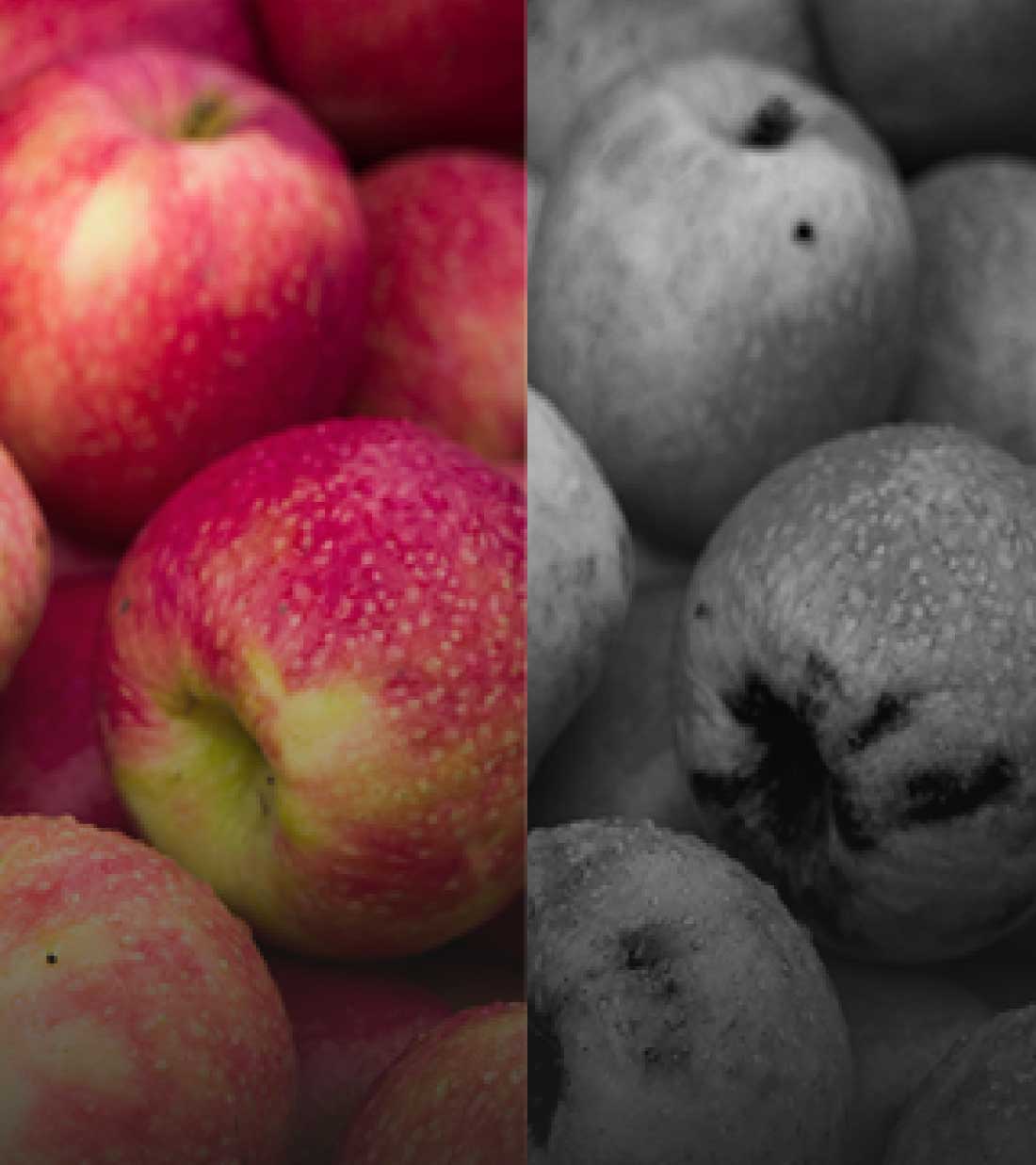 Imaging Blog | STEMMER IMAGING