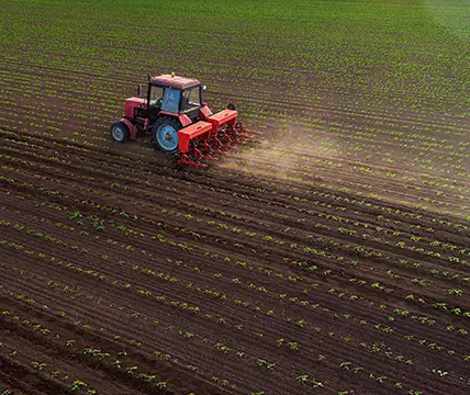 Your international distributor in machine vision | STEMMER IMAGING